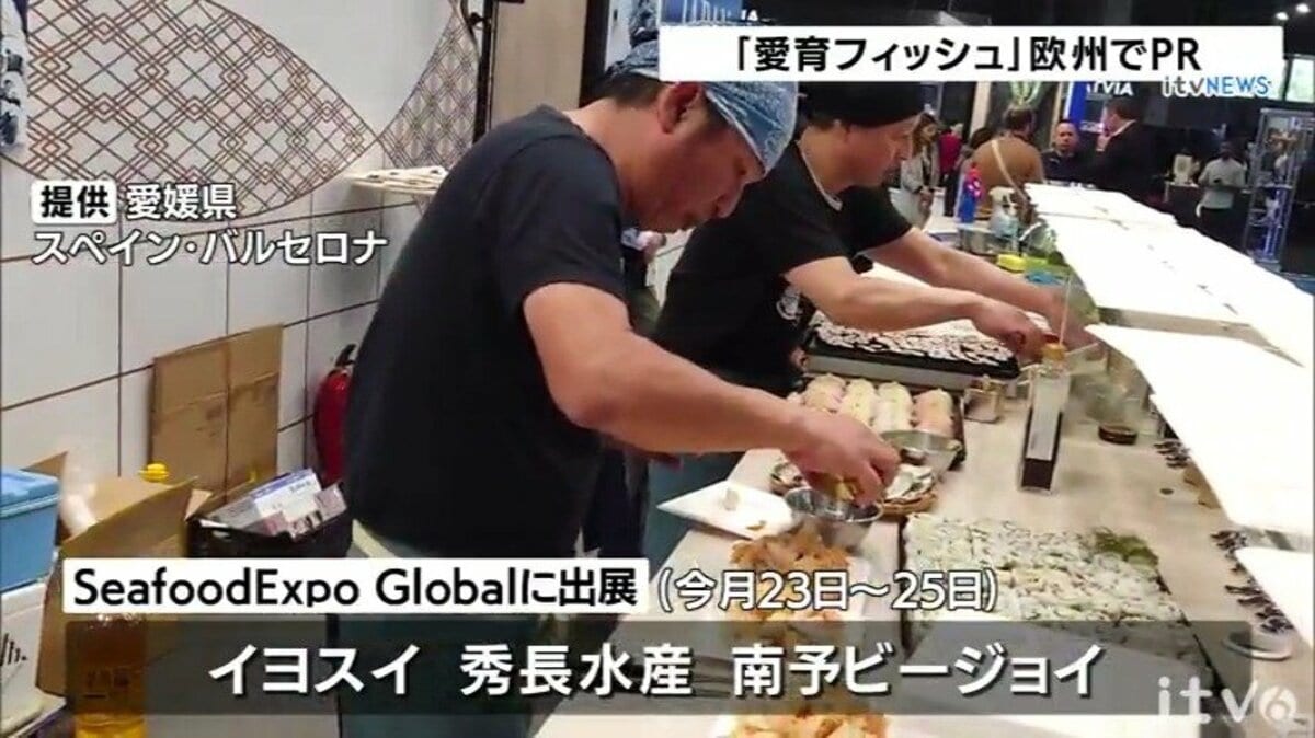 スペインの国際見本市で愛媛産の養殖魚｢愛育フィッシュ｣をPR | TBS NEWS DIG