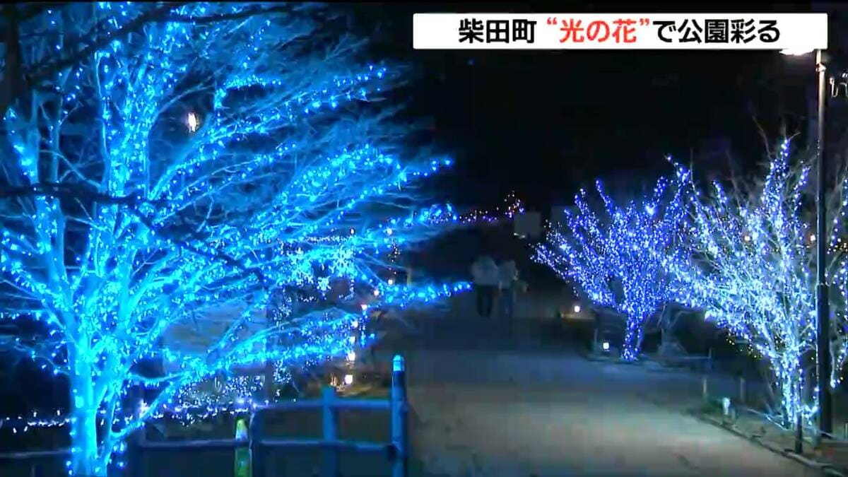 年末恒例「しばたファンタジーイルミネーション」12月30日まで開催中 15万球の光が冬の夜を彩る 宮城・柴田町（tbc東北放送）｜dメニュー ...