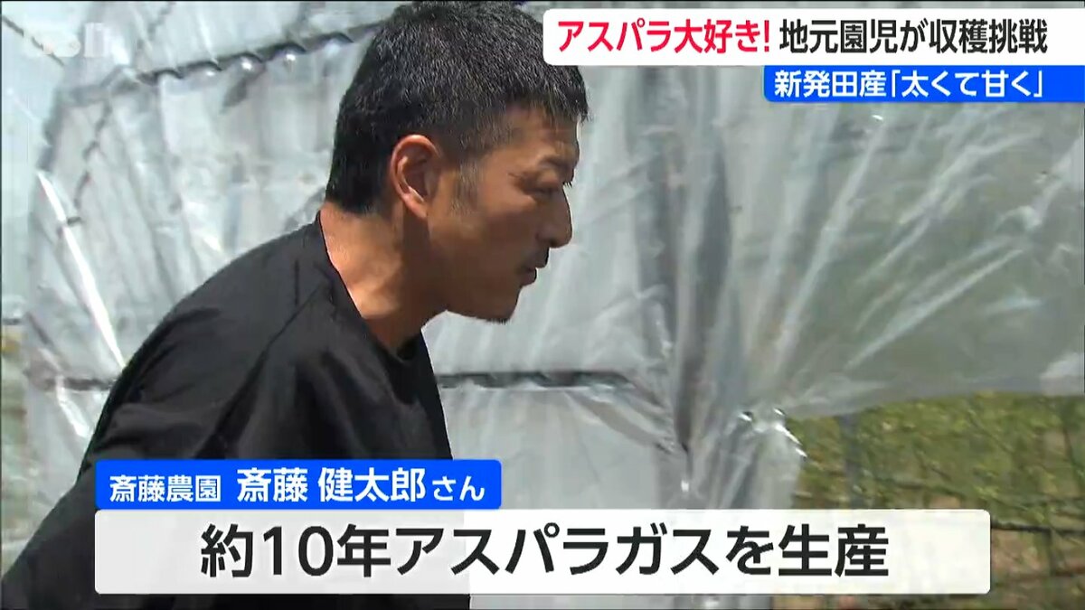 「太い、甘い、柔らかい」新発田産のアスパラガス 園児たちが収穫体験 保育園の給食でも提供 新潟（BSN新潟放送）｜dメニューニュース（NTTドコモ）