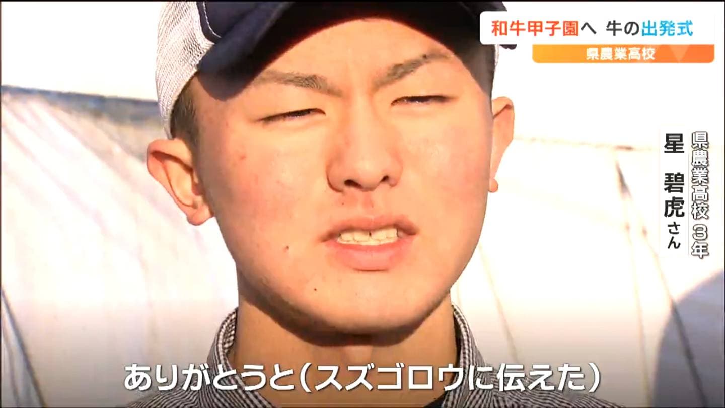 「ありがとうと伝えた」農業高校生が育てた牛の『ススゴロウ』830キロまで成長 和牛甲子園に出発 宮城（tbc東北放送）｜dメニューニュース（NTTドコモ）