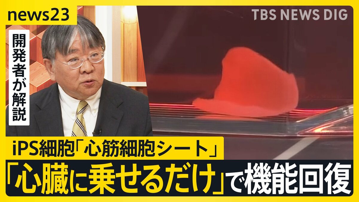 自らピクピクと…なぜ動く？“世界初”iPS細胞「心筋細胞シート」で心臓の機能回復 開発者がスタジオ解説「第一歩が踏み出せた」【news23】 | TBS NEWS DIG
