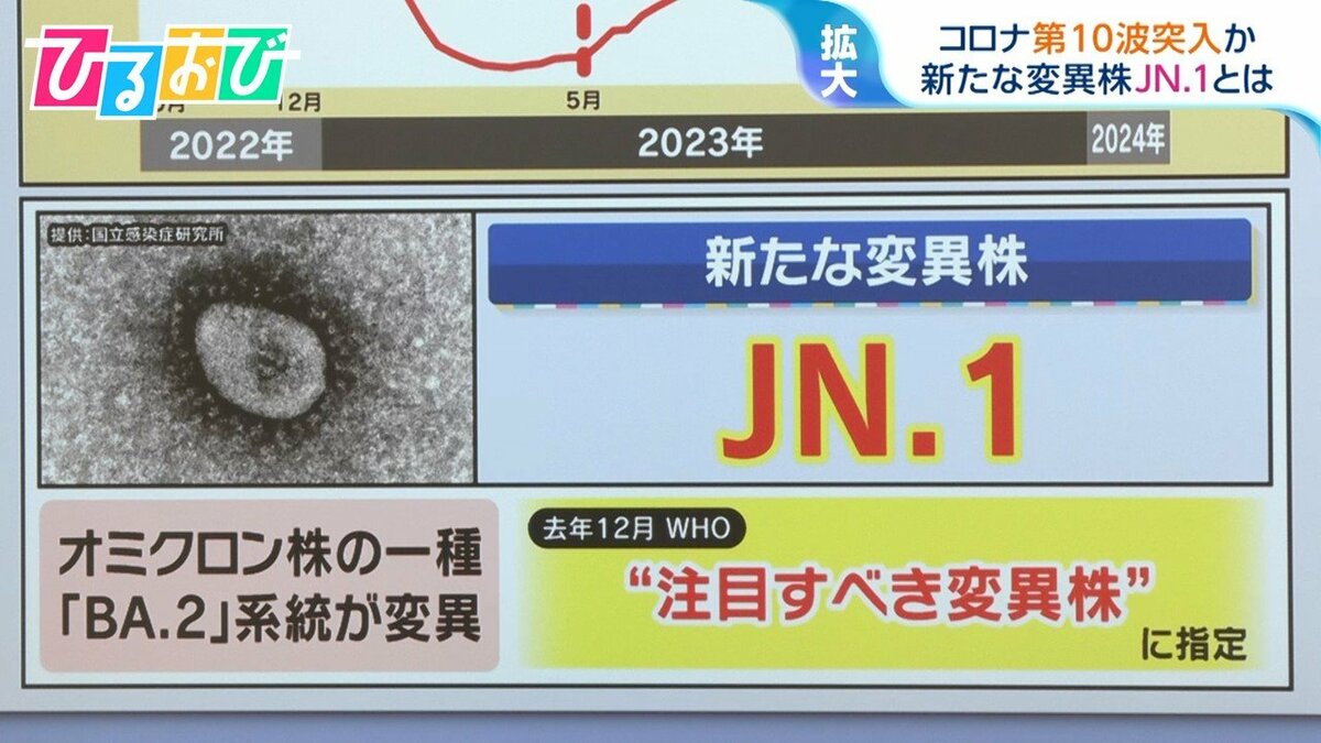 新型コロナ第10波突入か 新たな変異株「JN.1」とは？インフルB型も同時流行【ひるおび】 | TBS NEWS DIG