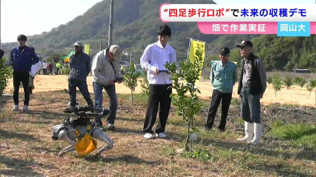 岡山大学に設立されたベンチャー企業が開発 四足歩行ロボットでレモン畑で収穫などの自動化目指す【岡山】（RSK山陽放送）｜dメニューニュース（NTTドコモ）