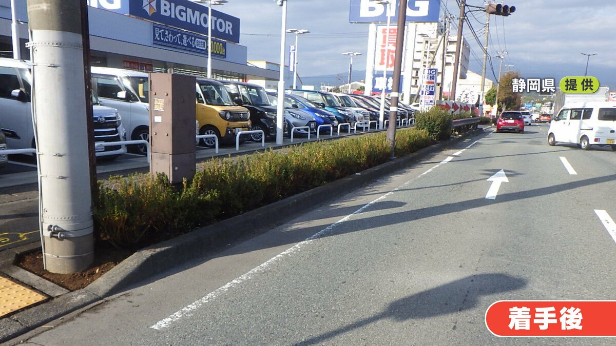 土壌入れ替え「サツキツツジ」220本植える ビッグモーター店舗前の街路樹復旧作業終わる―静岡県 | TBS NEWS DIG
