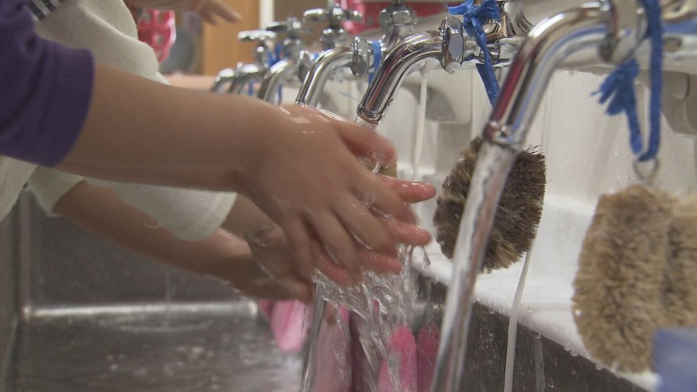 大腸菌「O157」など食中毒 集団感染で170人が発症 修学旅行で沖縄を訪れた1都3県の高校生ら | TBS NEWS DIG (2ページ)