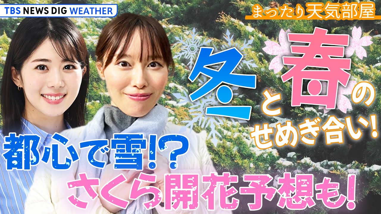 【お天気ライブ】冬と春のせめぎ合い！ 来週は都心で雪!? 最新さくら開花予想も！【まったり天気部屋】（2024年2月16日） | TBS NEWS DIG