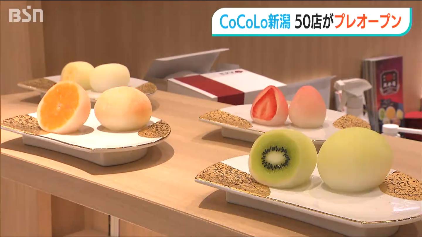 リニューアル続く新潟駅ビル「見ていてすごくワクワク」「常に新しい発見がある施設に…」CoCoLo新潟『EAST SIDE』は27日にオープン | TBS NEWS DIG