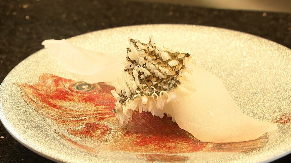 「脂が濃厚ですごく美味しかった」幻の高級魚 “クエ” の解体ショー 体長は1m25cm 重さ32kg 寿司店が独自ルートで仕入れ【岡山 ...