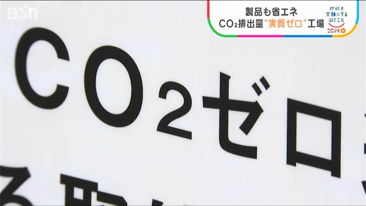 “省エネ”LED照明の工場で CO2排出量“実質ゼロ”達成【地球を笑顔にする SDGs】 | TBS NEWS DIG