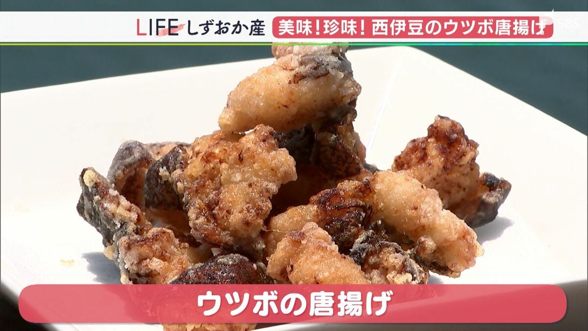 「トリとうなぎの間のような食感」海のギャング“ウツボ”を唐揚げにしました【しずおか産】 | TBS NEWS DIG
