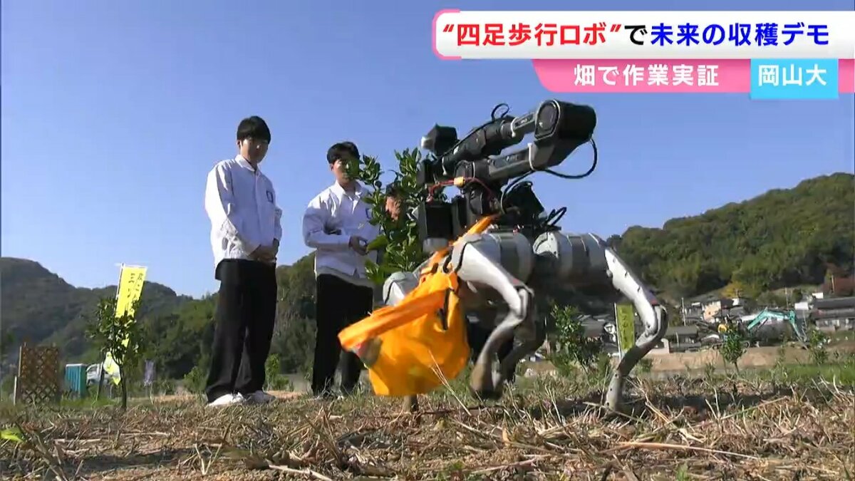 岡山大学に設立されたベンチャー企業が開発 四足歩行ロボットでレモン畑で収穫などの自動化目指す【岡山】（RSK山陽放送）｜dメニューニュース（NTTドコモ）