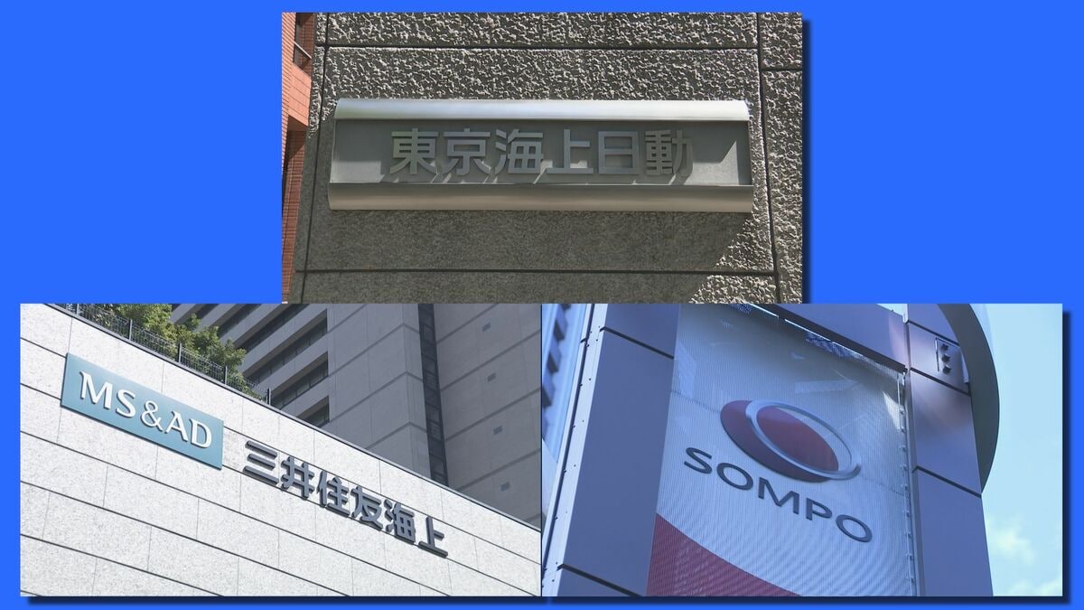 東京海上・MS&AD・SOMPO 大手損保グループ3社が2024年度決算発表 純利益は過去最高 政策保有株の売却が寄与 円安で海外事業も好調 | TBS NEWS DIG