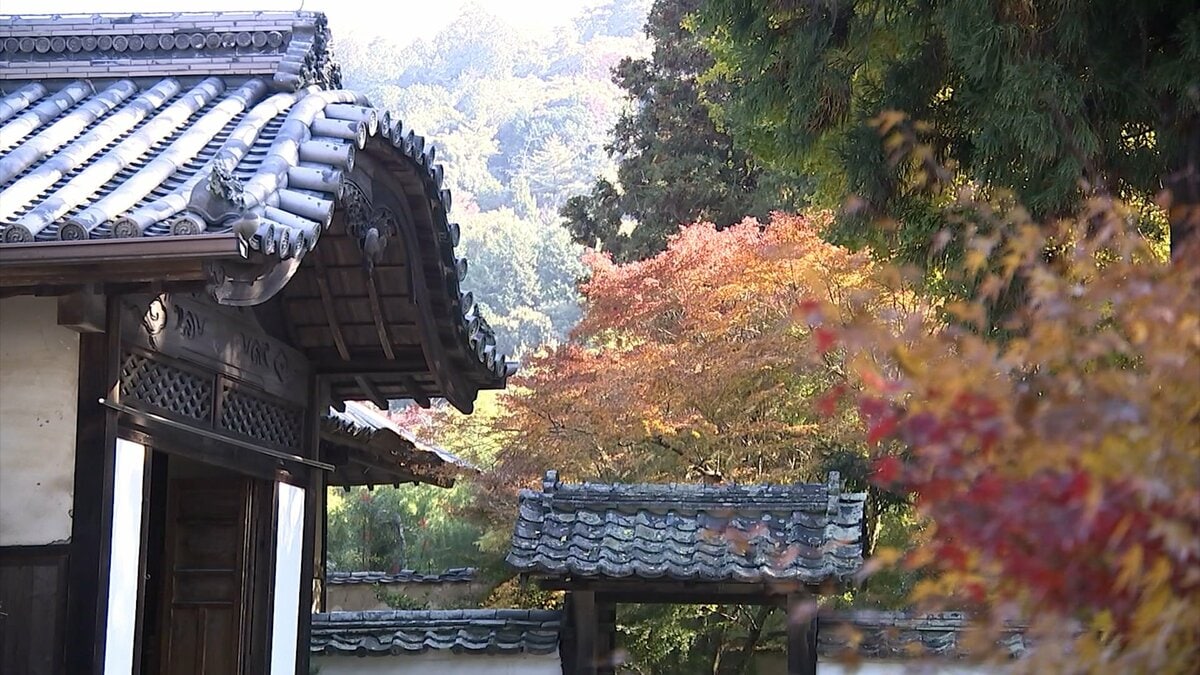 「色彩豊かな空間」 寺院で「紅葉」とイラン伝統の手織り絨毯「ギャッベ」を楽しむイベント 【岡山・金山寺】（RSK山陽放送）｜dメニューニュース（NTTドコモ）