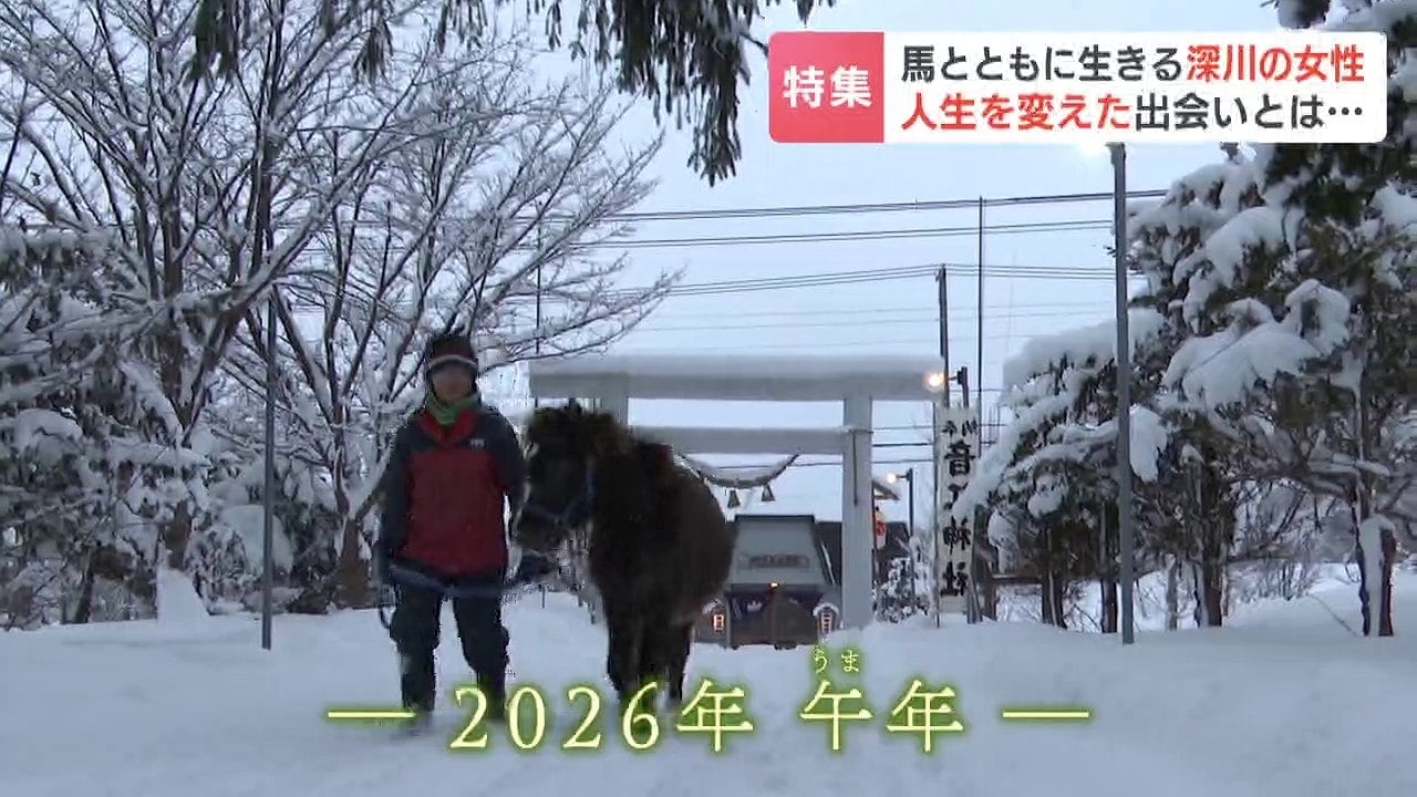 馬とともに生きる29歳女性「人の営みに関わって、馬は馬らしく」1歳3か月のフーペは“馬搬”見習い、子ども園では仲間として活躍「相棒であり、先生 ...