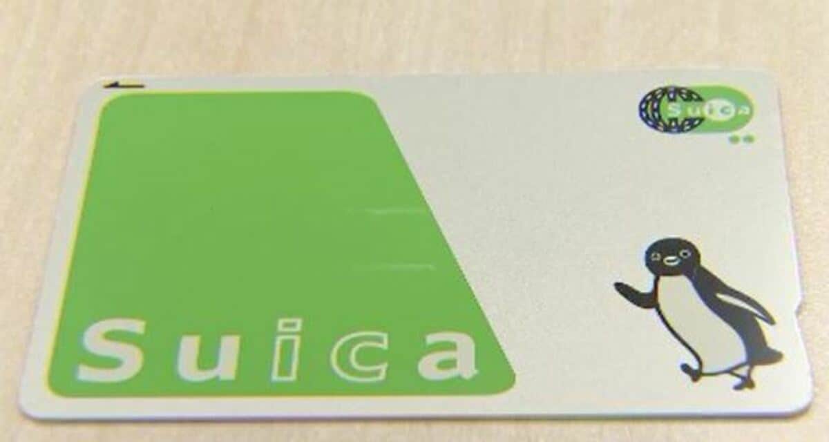信濃大町と白馬駅でも「Suica」利用可能に 2026年春以降のサービス開始を予定 3月の23駅に続いて対象駅拡大 長野 | TBS NEWS DIG