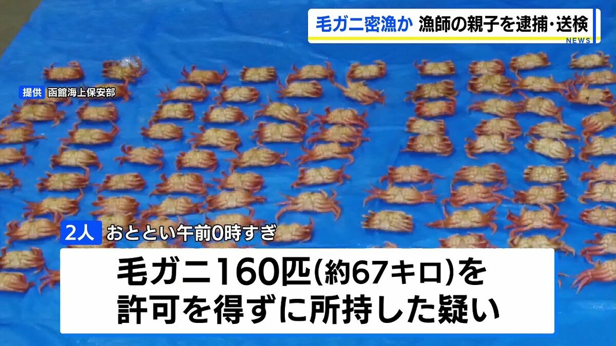 密漁か…許可を受けずに毛ガニ160匹を所持した疑いで漁師の親子逮捕 漁港をパトロール中の海上保安官が発見しその場で逮捕 北海道森町（HBC ...
