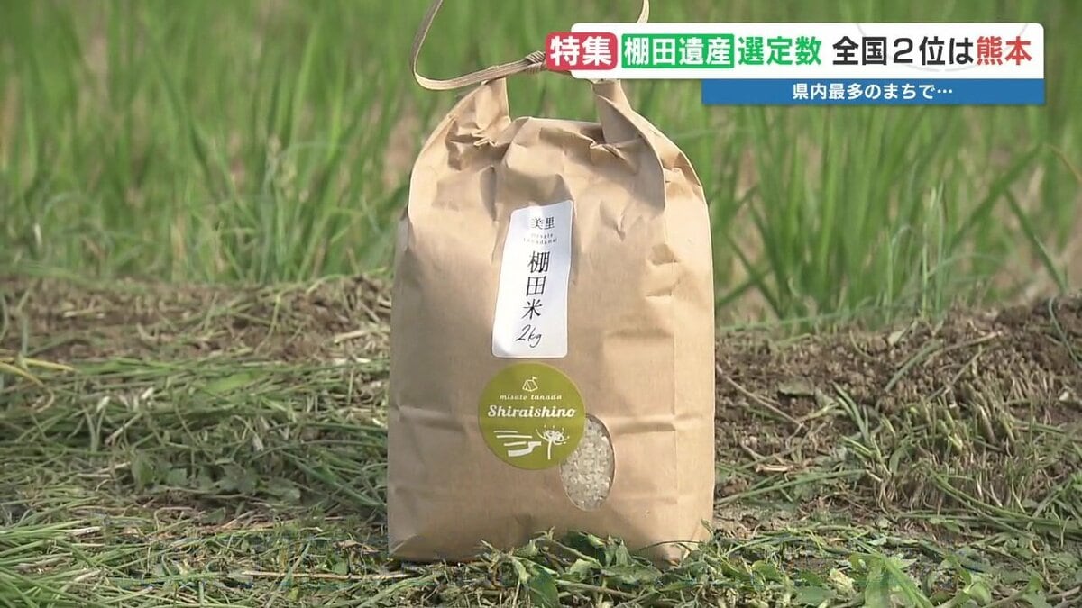 棚田遺産の数“全国2位”の熊本で『棚田でキャンプ』解禁 手土産はコメ！稲刈り後の期間限定イベント（RKK熊本放送）｜dメニューニュース（NTTドコモ）