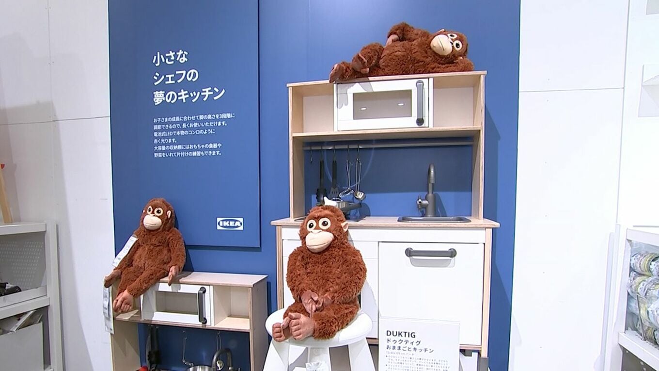 【速報】スウェーデン発祥の家具「イケア」来年春 岡山県に初出店 | 岡山・香川のニュース | 天気 | RSK山陽放送 (3ページ)