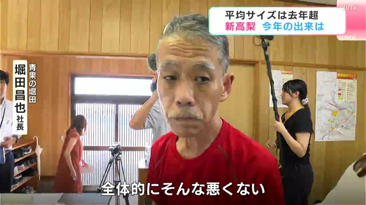 秋の味覚『新高梨』 猛暑の影響少なく平均サイズは800グラムほどで去年上回る 2025年の出来は（KUTVテレビ高知）｜dメニューニュース（NTTドコモ）