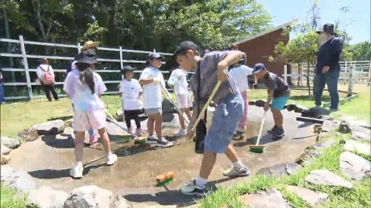 夏休みを満喫！ドイツの森で小学生が飼育員体験 | 岡山・香川のニュース | 天気 | RSK山陽放送