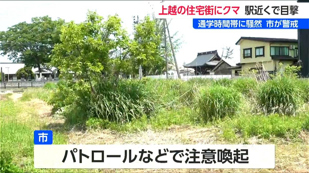 通学時間帯に騒然 市が警戒態勢 街中でクマ目撃情報 新潟・上越市（BSN新潟放送）｜dメニューニュース（NTTドコモ）