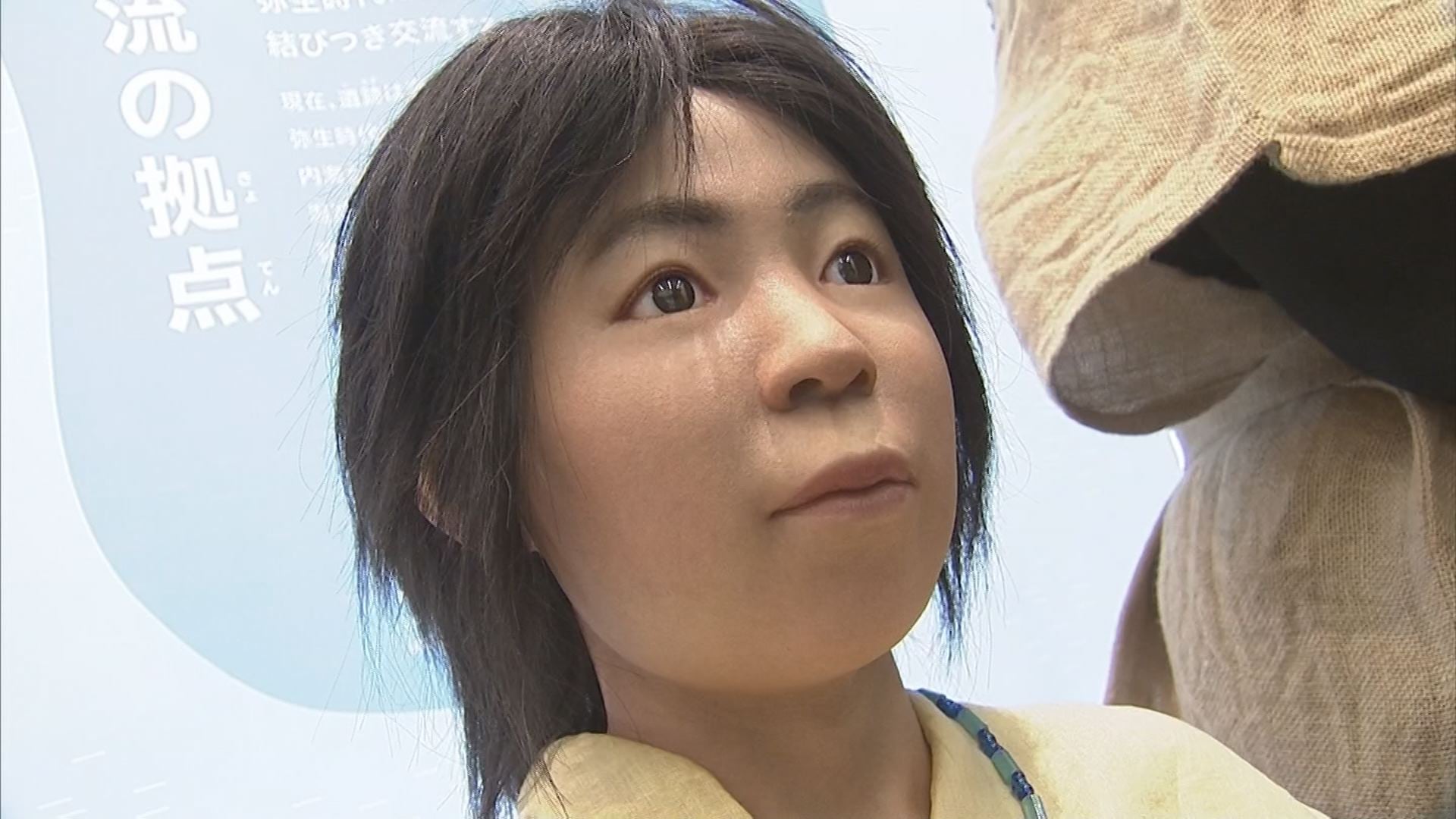 女性のはずが若い男性だった！弥生人の顔復元「第2弾」DNA分析で判明 鳥取県青谷上寺地遺跡出土の頭蓋骨 | TBS NEWS DIG