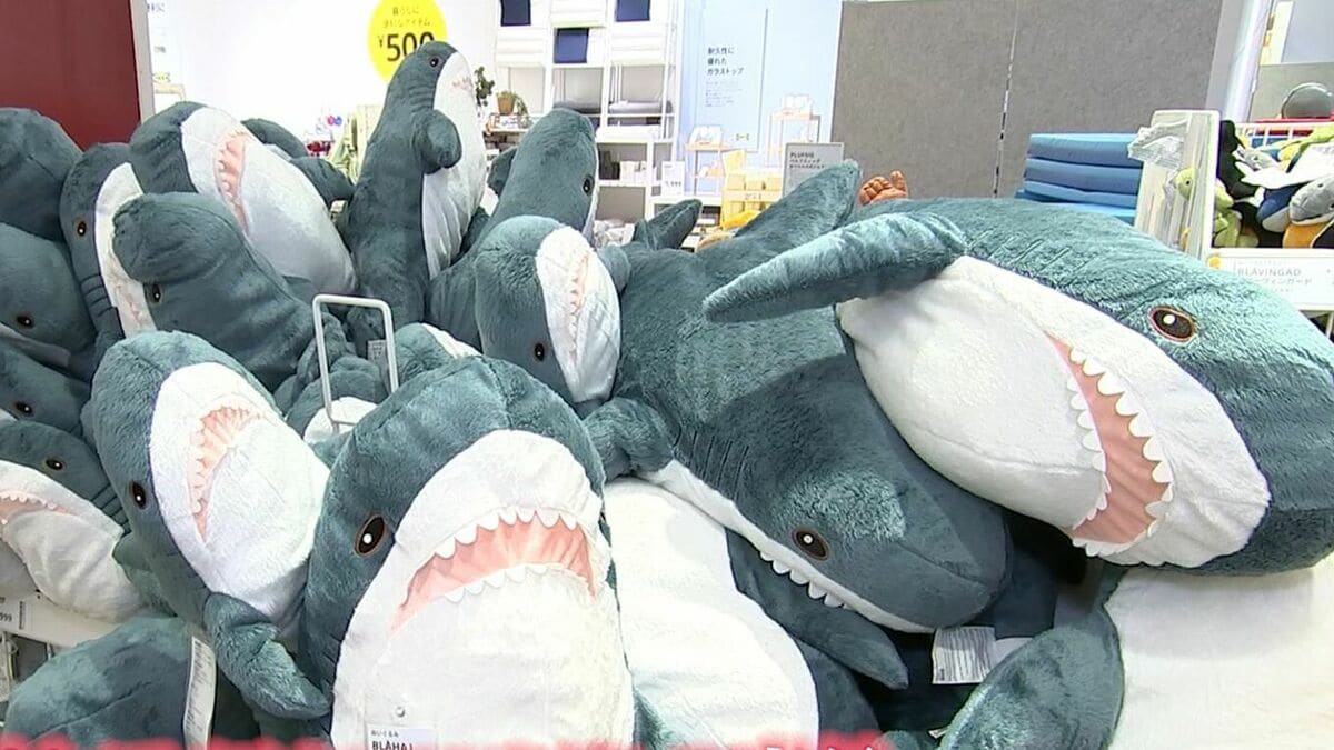 【続報】スウェーデン発祥の家具大手「イケア」来年春 岡山県に初出店「岡山は 中国地方で重要な拠点」国内17店舗目・中四国2店舗目（RSK山陽放送）｜dメニューニュース（NTTドコモ）