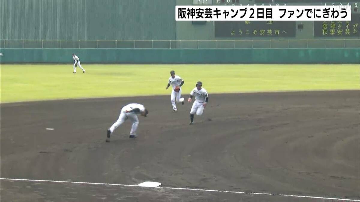 「日本シリーズは残念でしたけどリーグ優勝は満足！」阪神タイガース安芸キャンプ2日目 午前中だけで1000人のファン詰めかける【高知】（KUTVテレビ高知）｜dメニューニュース（NTTドコモ）