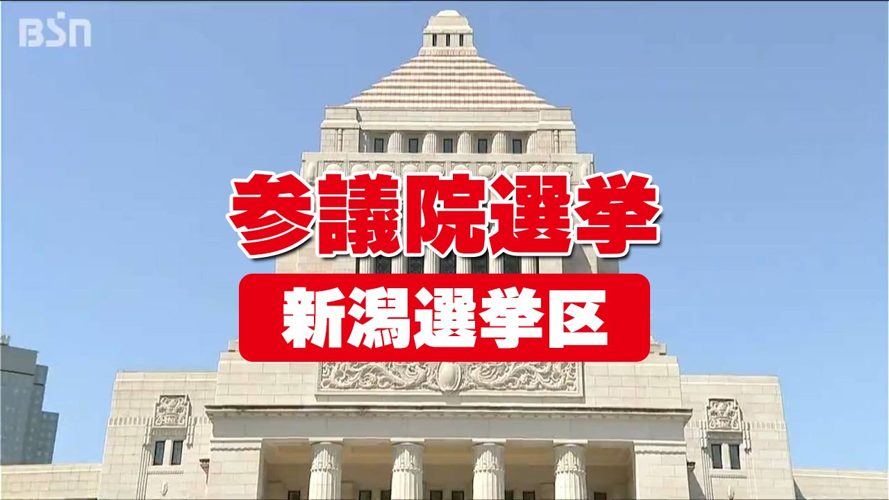 【参議院選挙】新潟選挙区の開票状況 開票率32.7%（20日午後10時30分現在） | TBS NEWS DIG