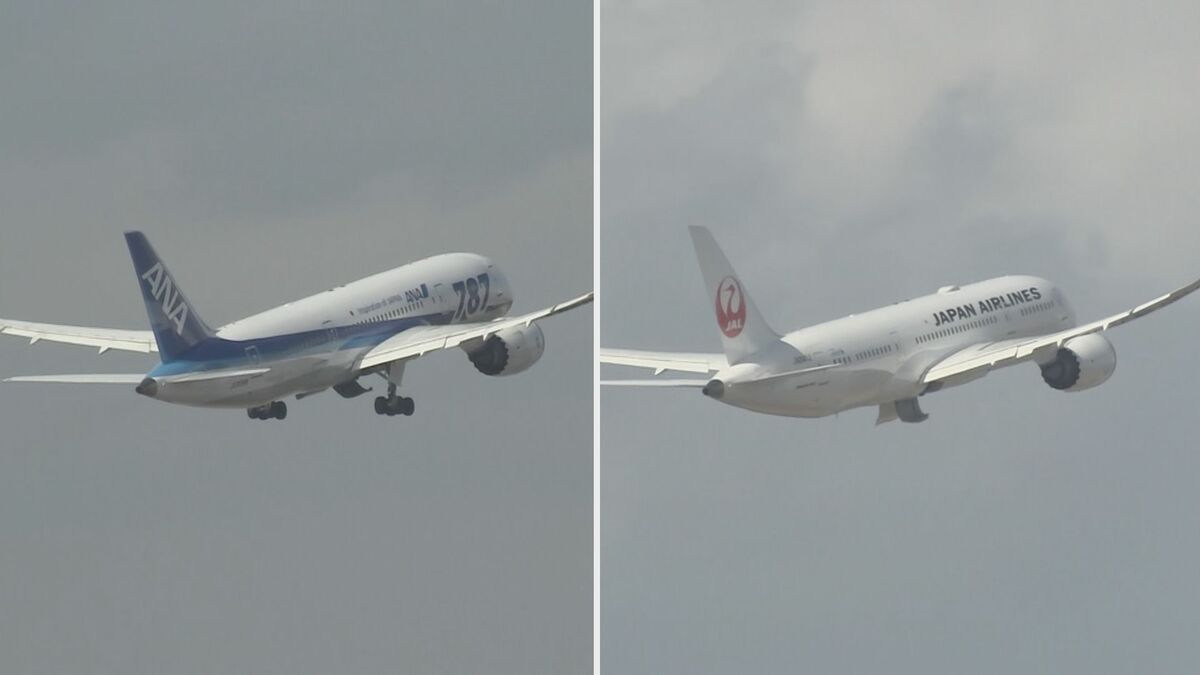 ANAHDとJALグループ 第3四半期決算 両社そろって黒字は3年ぶり | TBS NEWS DIG