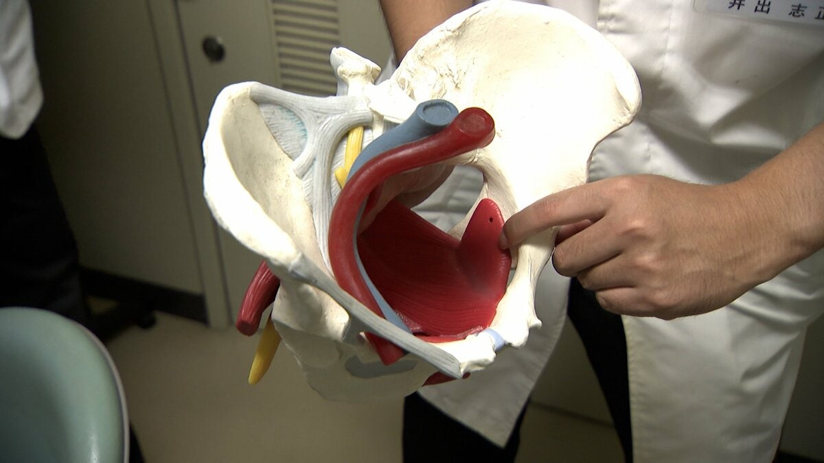 「トイレでのスマホ」実はその行為“尿漏れ”のリスクを高めているかも⋯洋式トイレの思わぬ落とし穴、尿トラブルについて専門家に聞いてみると（KUTVテレビ高知）｜dメニューニュース（NTTドコモ）