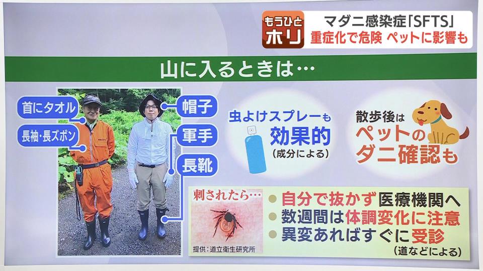 全国患者数が過去最多135人に…北海道でも初確認 マダニ感染症「SFTS」 重症化すると死亡するおそれも 専門家に聞いた！症状と対策 | TBS NEWS DIG (6ページ)