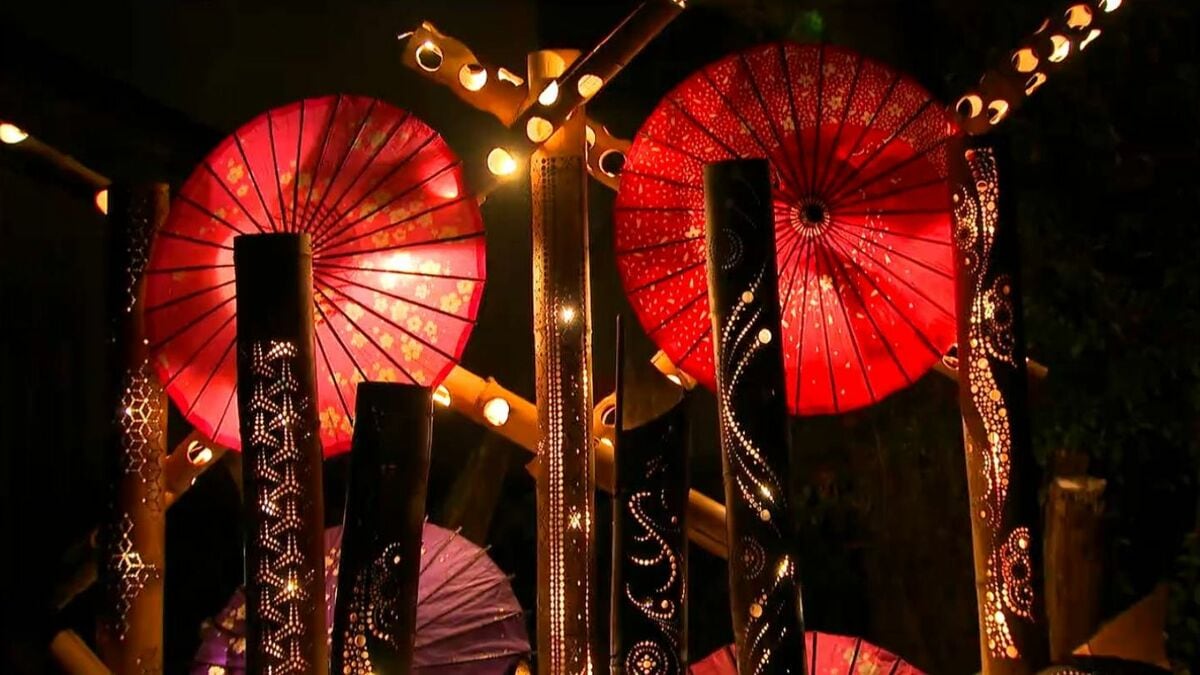 竹灯籠が照らす出水麓武家屋敷【亀ちゃんのかごしま撮った！】 | TBS NEWS DIG