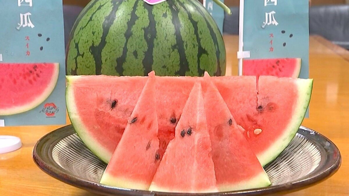 「シャリシャリの食感が特徴」 JAおおいたが日田市長に地元特産のスイカを贈りPR | TBS NEWS DIG