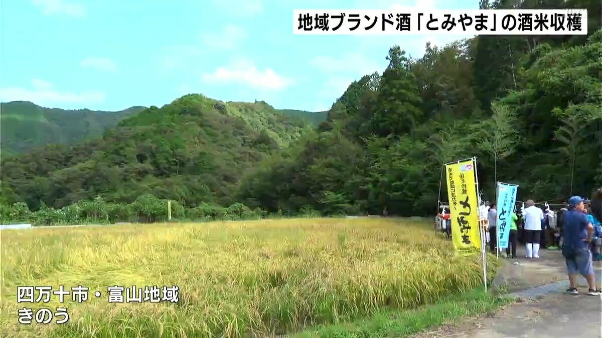 地域ブランド酒「とみやま」の酒米を子どもたちが収穫 【高知県 四万十市】（KUTVテレビ高知）｜dメニューニュース（NTTドコモ）