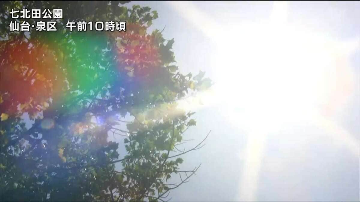 【29日正午現在】仙台で史上最多8日目の猛暑日 | TBS NEWS DIG