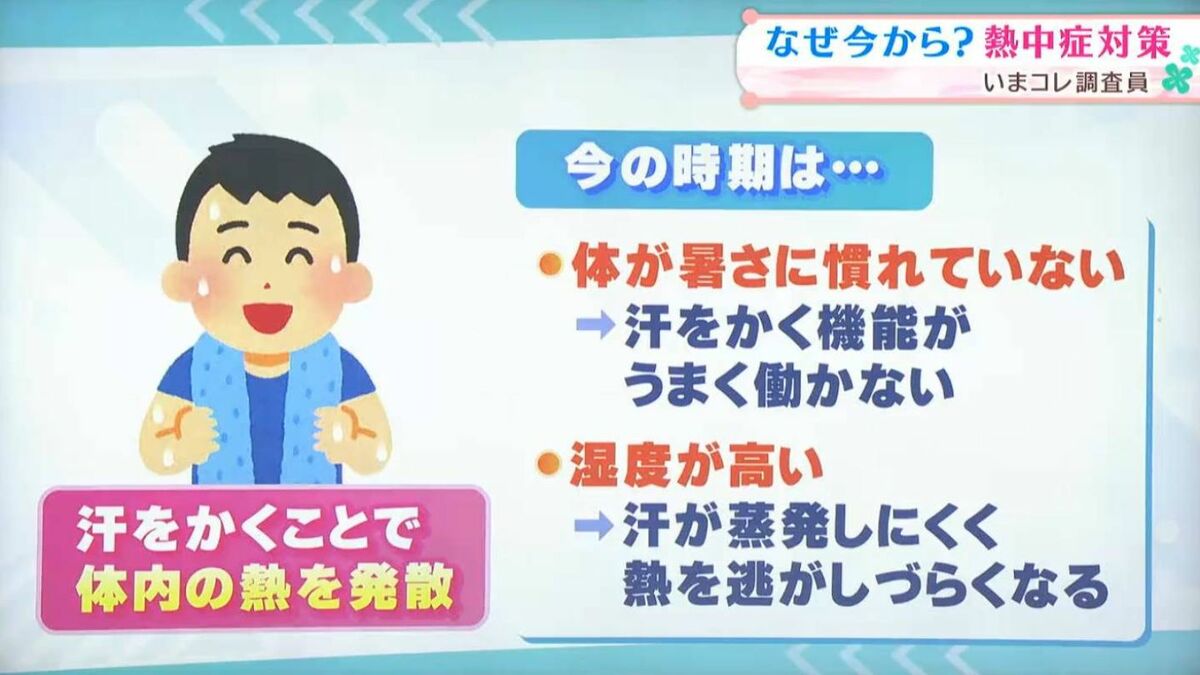【今週は暑い!!】危険な暑さ 特に「子どもの熱中症」には注意を 気をつけるべき「3つのこと」とは？（RSK山陽放送）｜dメニューニュース（NTTドコモ）