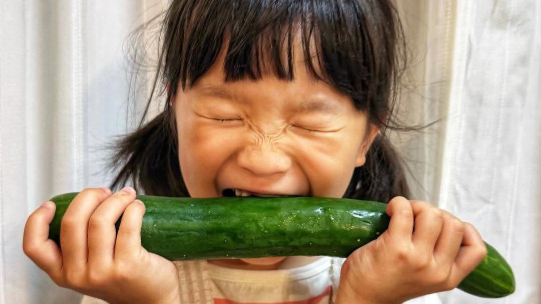 ののちゃん 】大きなきゅうり「まるかじり！！！」 “前歯ないけどがんばってます” 妹・ひーちゃんもがんばる | TBS NEWS DIG