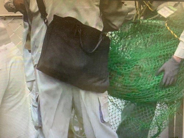 【速報】仙台市でマンションに逃げ込んだカモシカ“保護” | TBS NEWS DIG