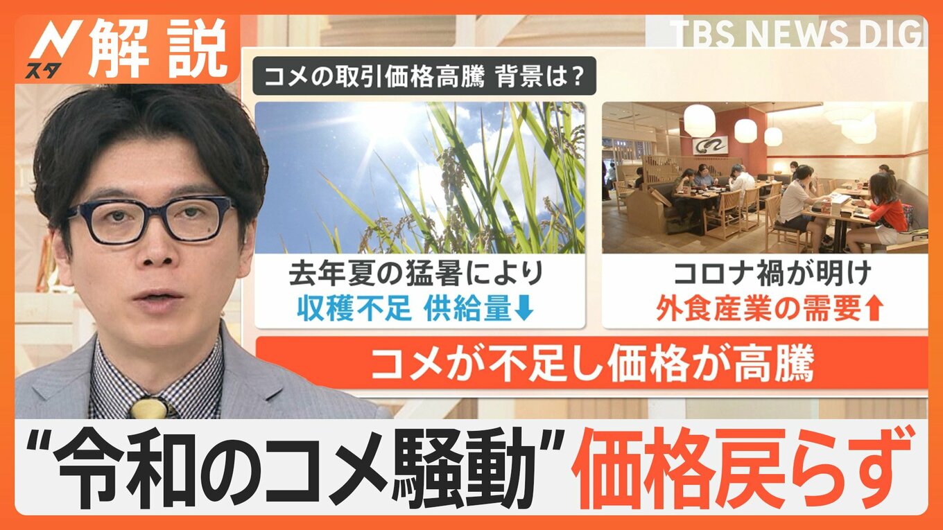 「事件と言って良い」キャベツ高騰で1玉400円超 “令和のコメ騒動”価格戻らず…今買うべき食材は？【Nスタ解説】 | TBS NEWS DIG