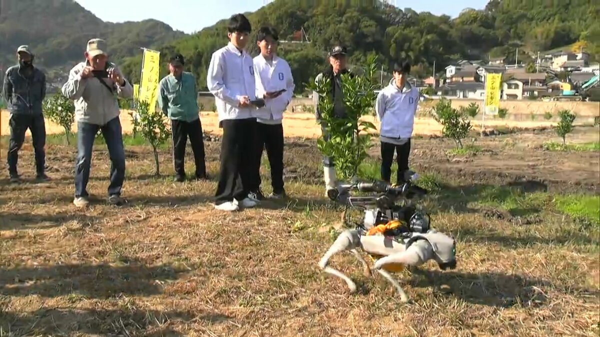岡山大学に設立されたベンチャー企業が開発 四足歩行ロボットでレモン畑で収穫などの自動化目指す【岡山】（RSK山陽放送）｜dメニューニュース（NTTドコモ）