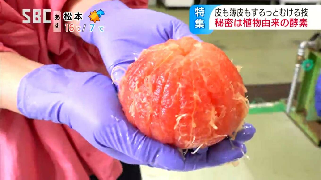 スルッとむける【スゴ技】「ああっ気持ちいい！！しゅるしゅる…」ブドウやモモ、カブやクルミの皮も…10年に及ぶ研究で特許を取得、加工農家の救世主 ...