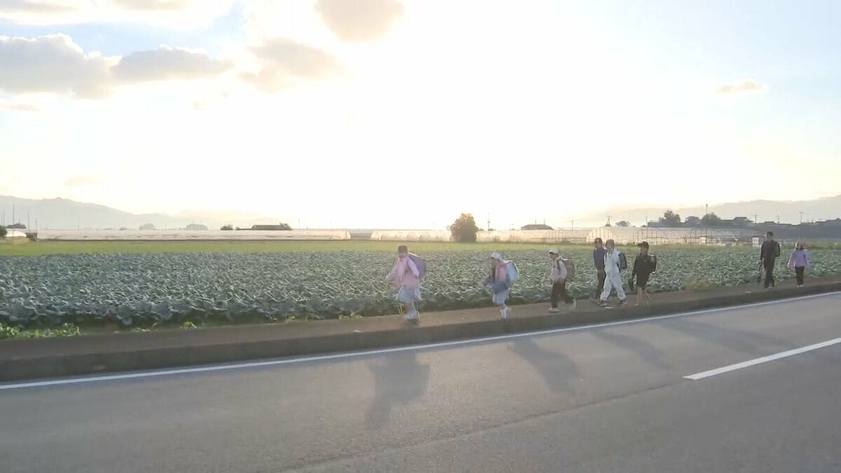 鍋の季節到来！大根・キャベツ・白菜は去年より2〜3割安 野菜の組み合わせは”ひと工夫”で栄養・抗酸化作用・免疫力アップ（RKB）｜dメニューニュース（NTTドコモ）