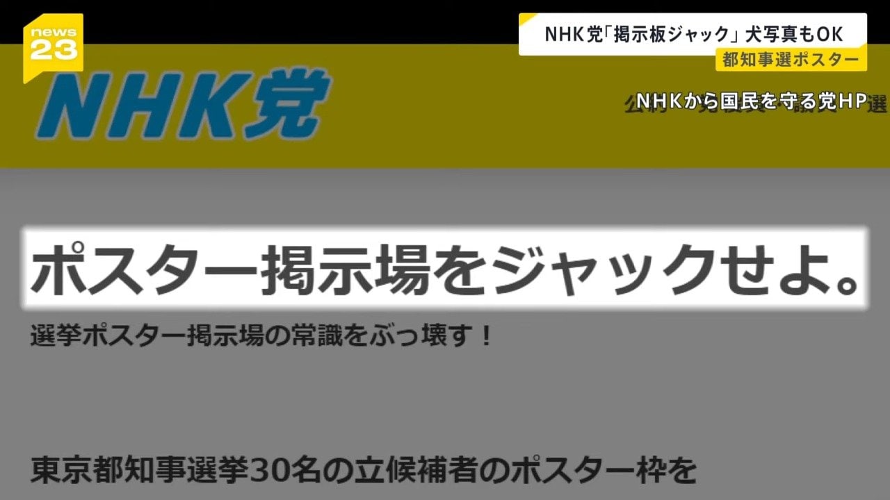 NHK党“掲示板ジャック”で都知事選の候補者ポスターに犬や猫が？ 掲示板スペースが足りなくなる？ 自治体が混乱【news23】 | TBS NEWS DIG (2ページ)