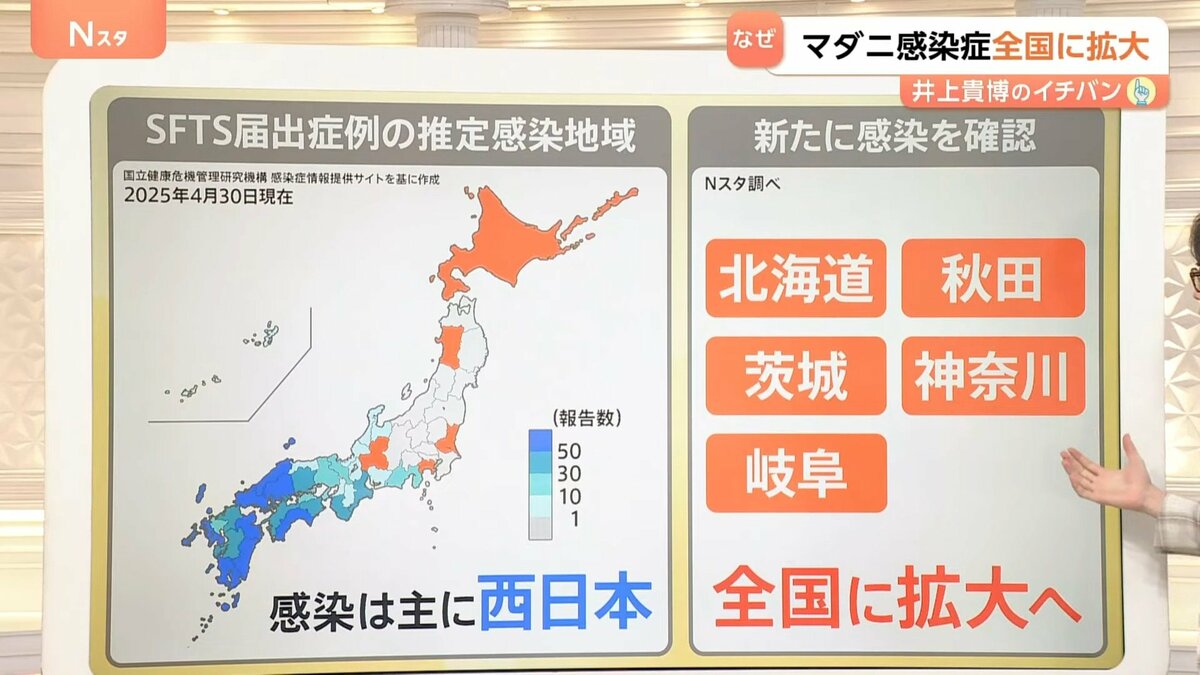 感染拡大の要因は“ペット”と“高温”？マダニが媒介「SFTS=重症熱性血小板減少症候群」とは【Nスタ解説】｜ニフティニュース