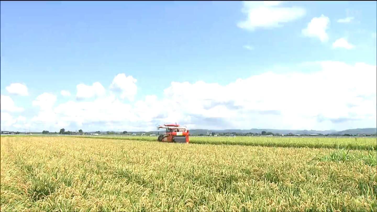 コメ作況 宮城は102〜105「やや良」流通は順次回復の見通し（tbc東北放送）｜dメニューニュース（NTTドコモ）