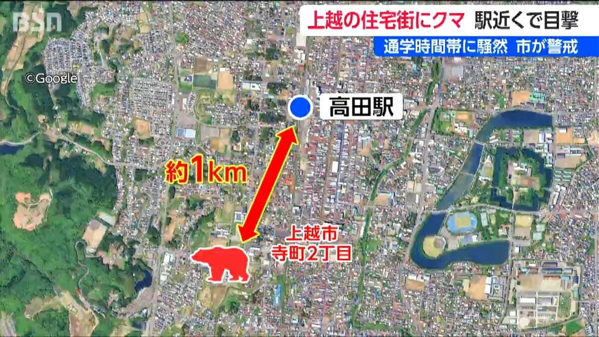 通学時間帯に騒然 市が警戒態勢 街中でクマ目撃情報 新潟・上越市（BSN新潟放送）｜dメニューニュース（NTTドコモ）