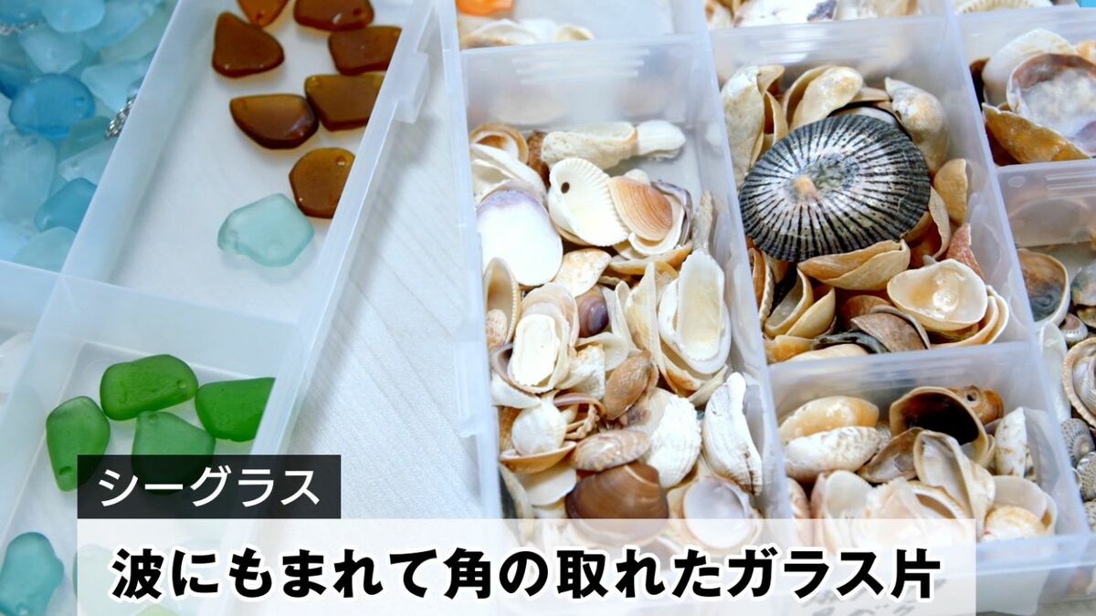 「生き物観察」で海を楽しもう 秋の浜辺でテッポウエビやガザミなど小さな生き物たちを見つけるコツは？（RSK山陽放送）｜dメニューニュース（NTTドコモ）