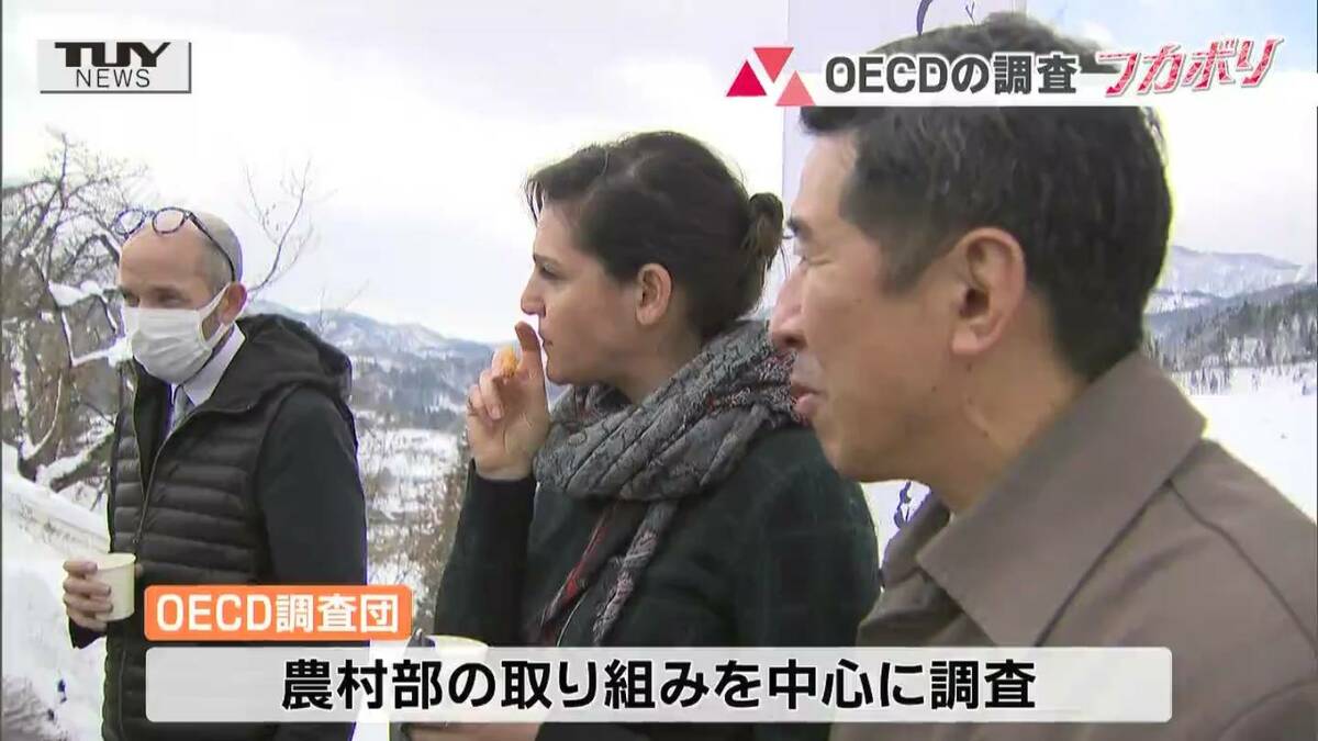 【ユウキノフカボリ】OECD（経済協力開発機構）が山形県を調査 いったい何を見た？ | TBS NEWS DIG