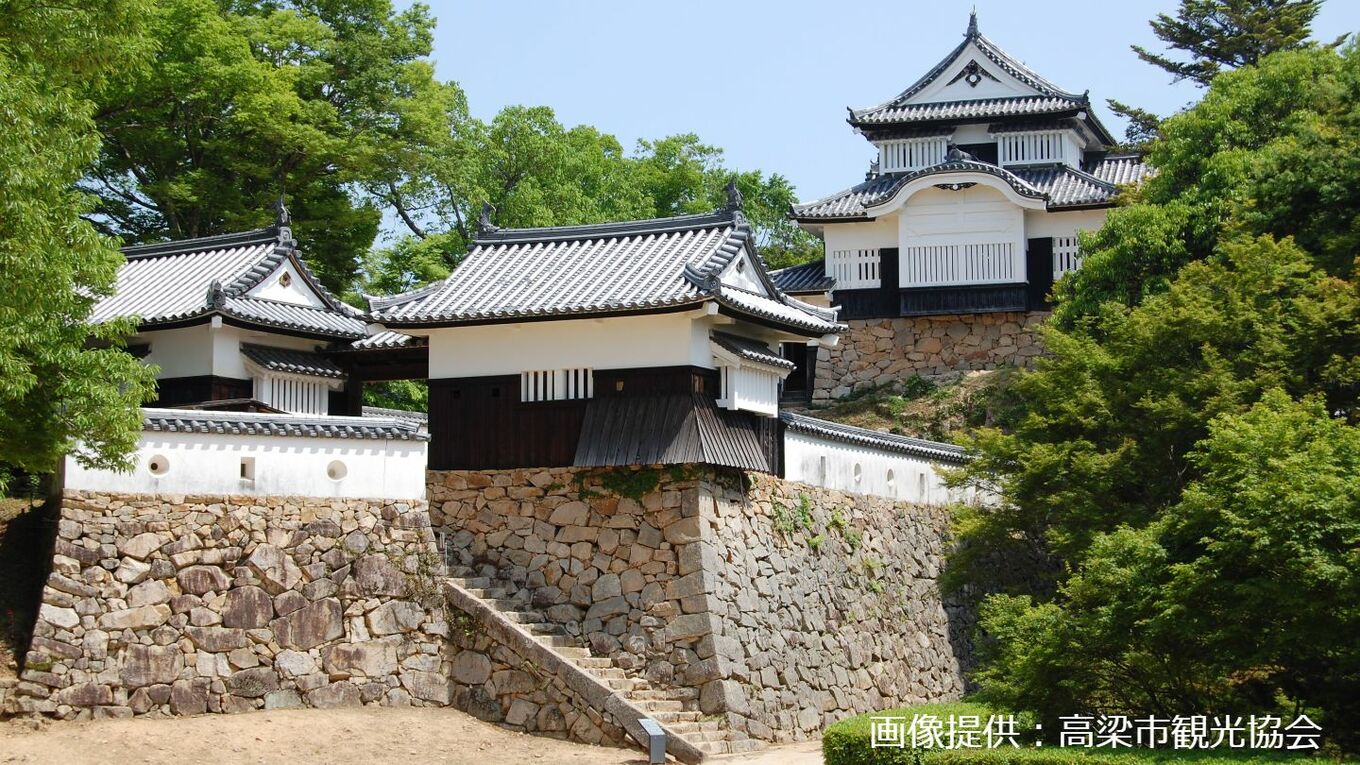 天空の山城・備中松山城『お城EXPO2024』に出展 「城マニア」RSK新入社員がその魅力を語りたい！【岡山】 | TBS NEWS DIG